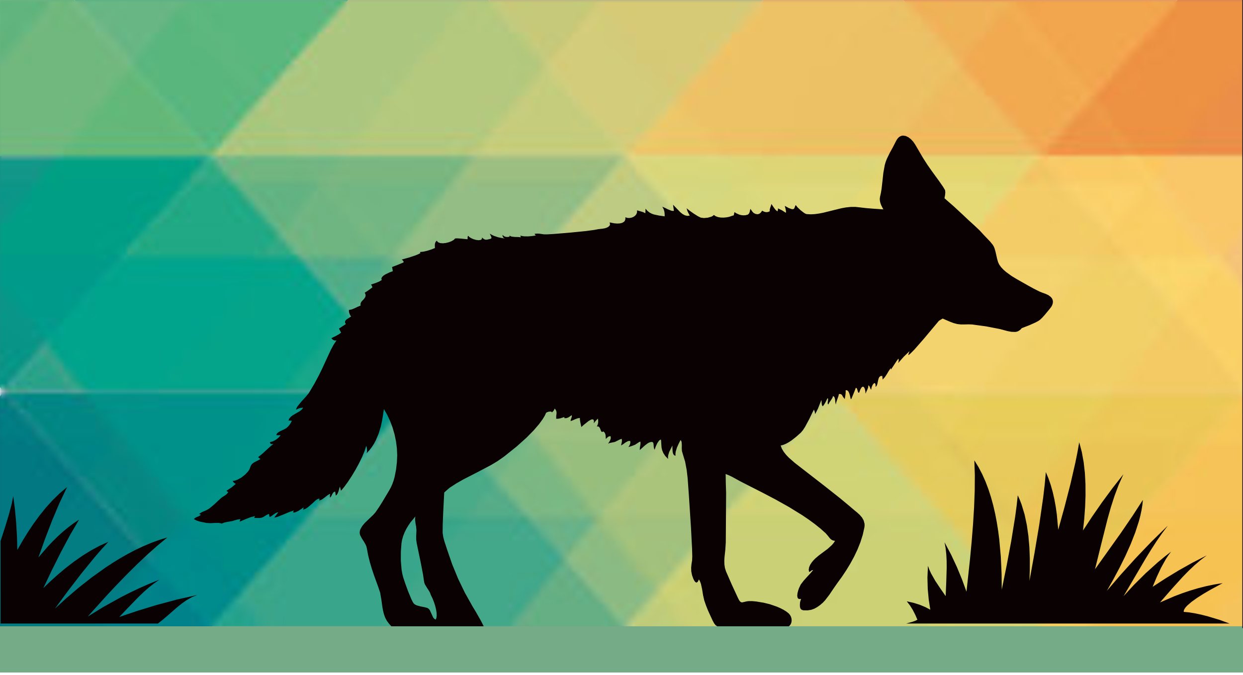 Clever Mutt LLC - Has something coming soon